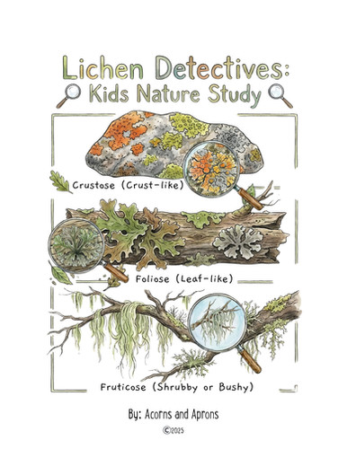 Lichen Detective Nature Study | Acorns and Aprons
