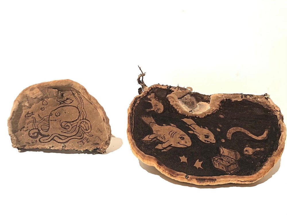 Artist’s Conk Drawing Tutorial