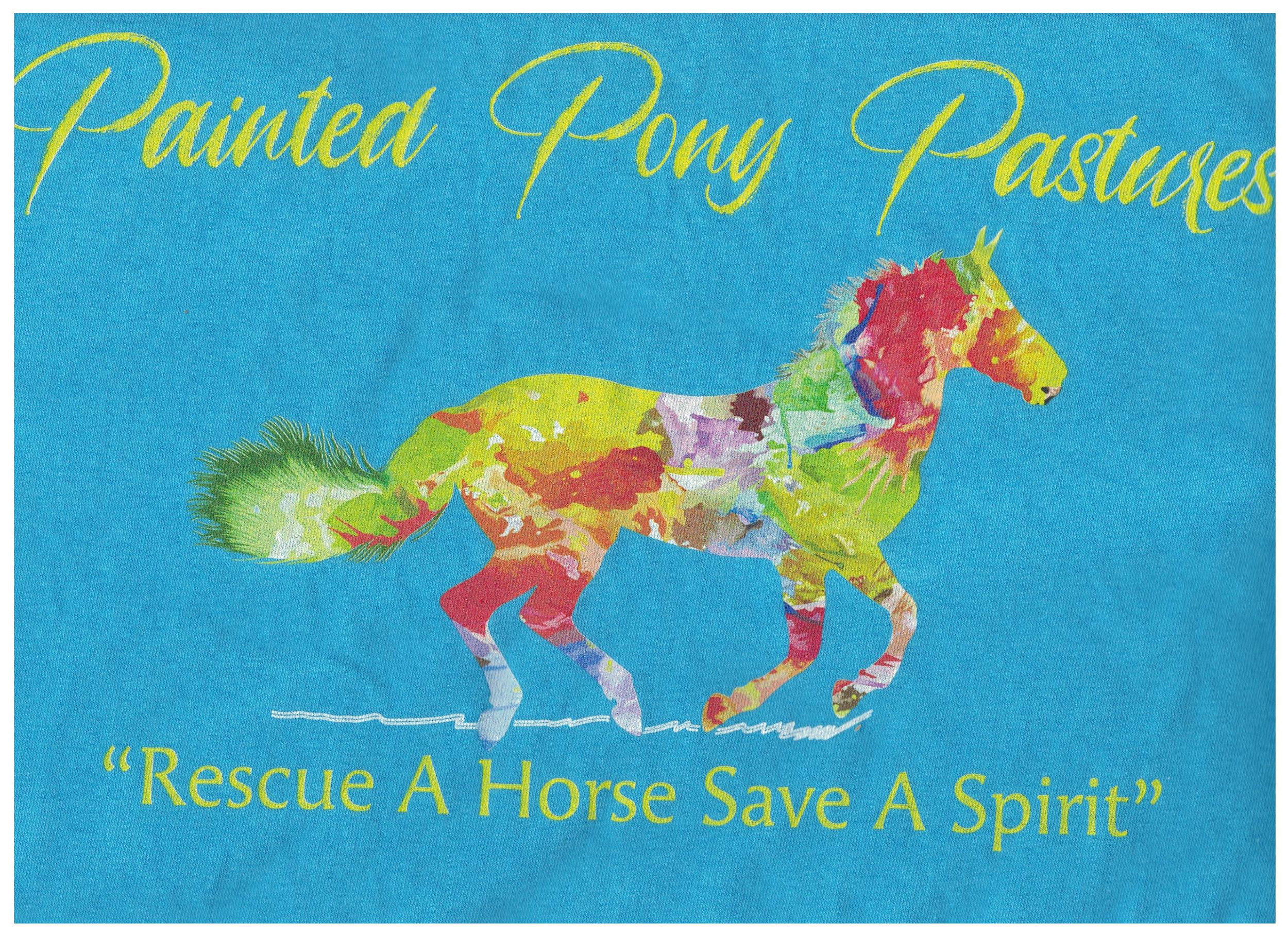 Painted Pony Pastures, Inc. | Horse Rescue in Florida | 1410 Northeast ...