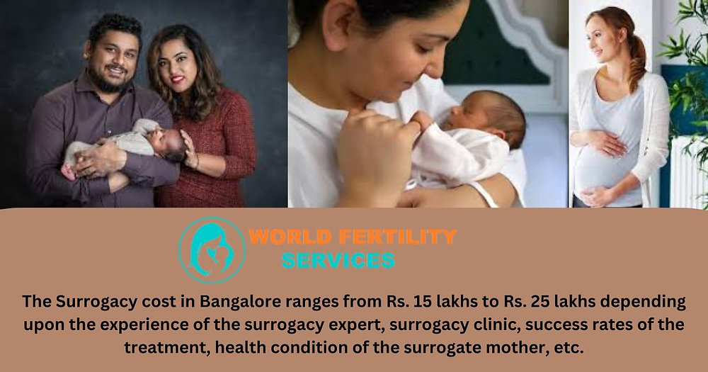 Affordable Surrogacy Cost in Hyderabad: A Detailed Guide