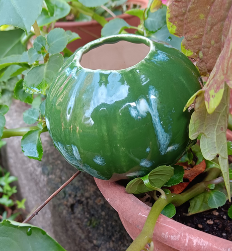 All Products | The Puddler Shop