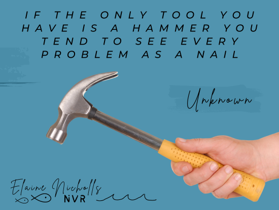 If the only tool we have is a hammer... If the only tool we have is a hammer...