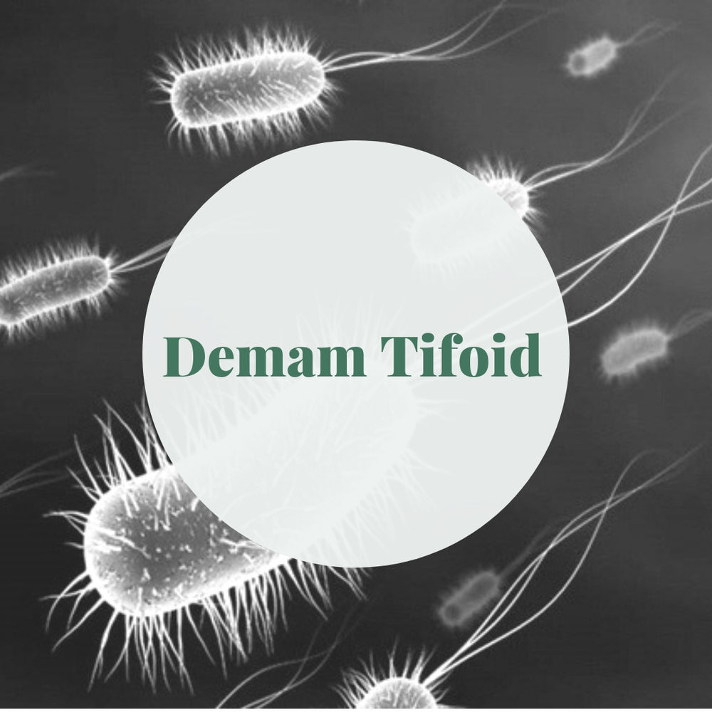 Demam Tifoid - Waspadai penyakit saat banjir!