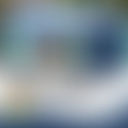 Custom Salty Signs | coastal inspired signs | Pinellas County, FL, USA