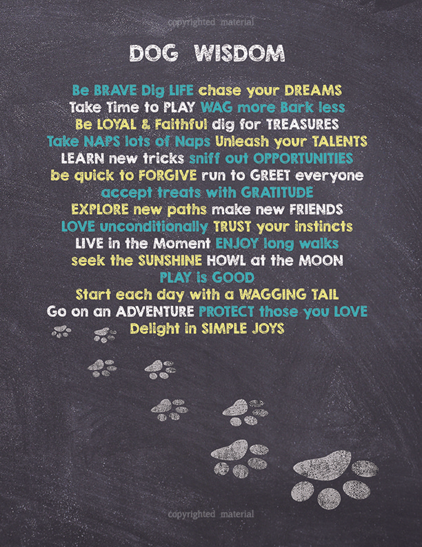 The Wisdom of Dogs Lessons from an Old Dog