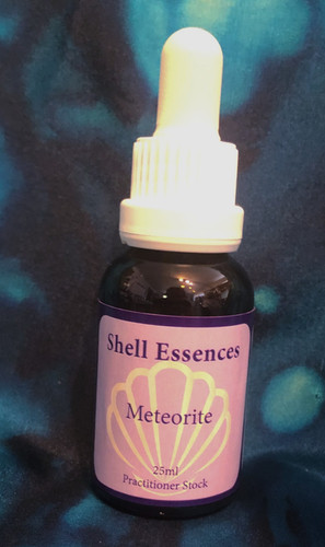 Metorite | shellessences
