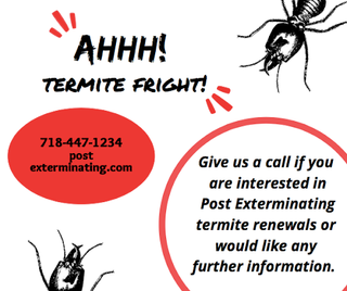 Pest Control | Post Exterminating | New York