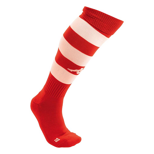 Corofin Harps S.B.G.F.C