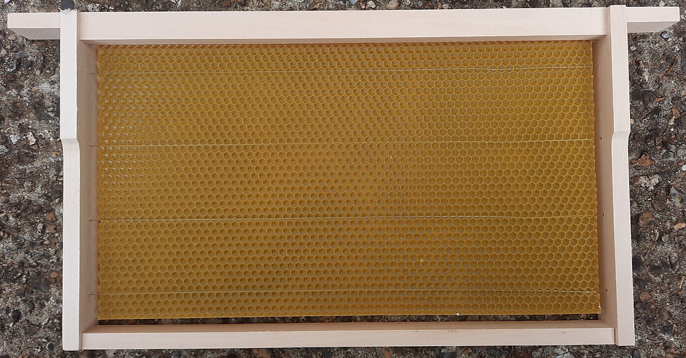 BS National Deep (Brood) frames, assembled and wired with foundation ...