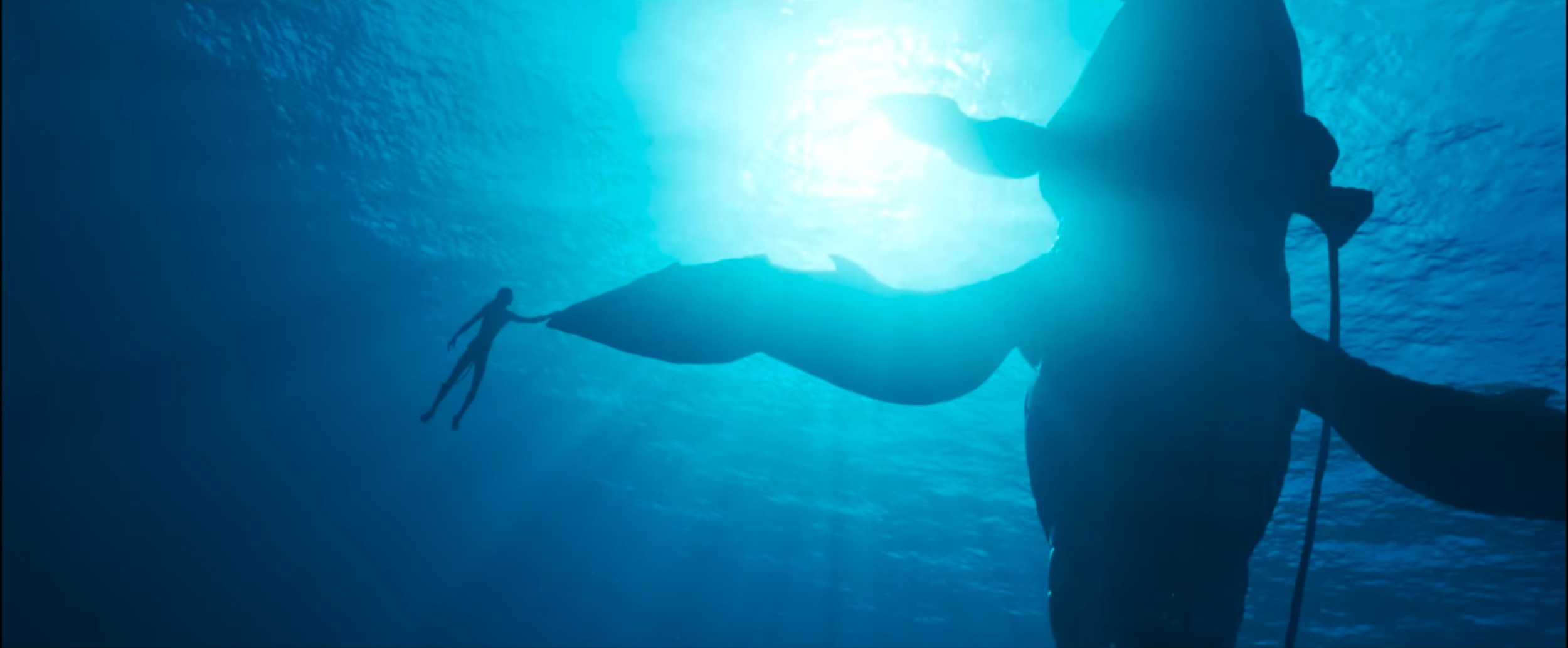 Home | N A T H A N H A U G A A R D