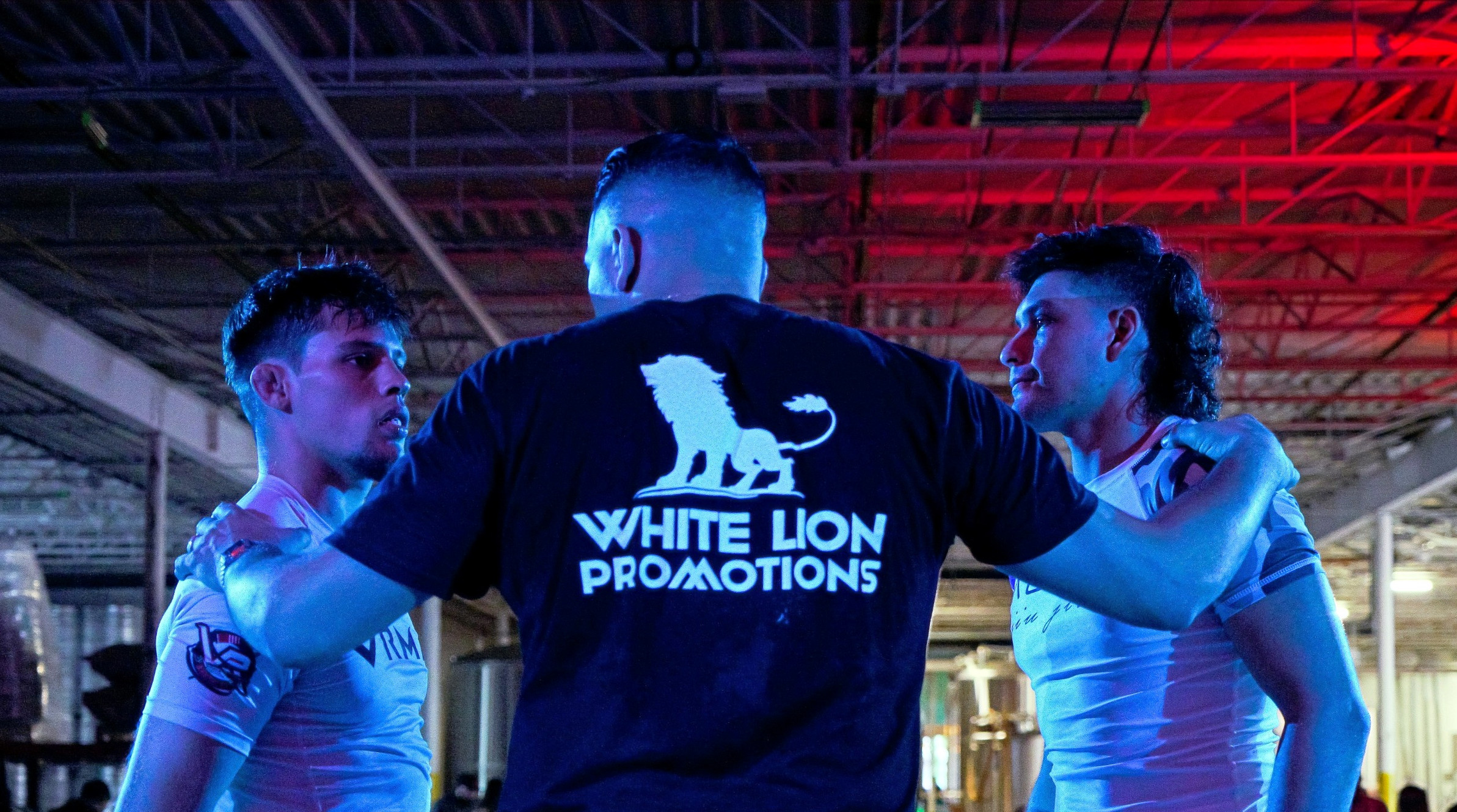 PHOTO-SHOP | White Lion