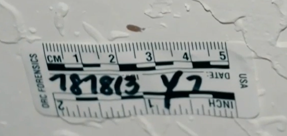 Reconstructing The Crime Scene of Kim Dorsey