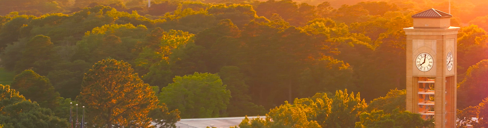 University of Texas Foundation