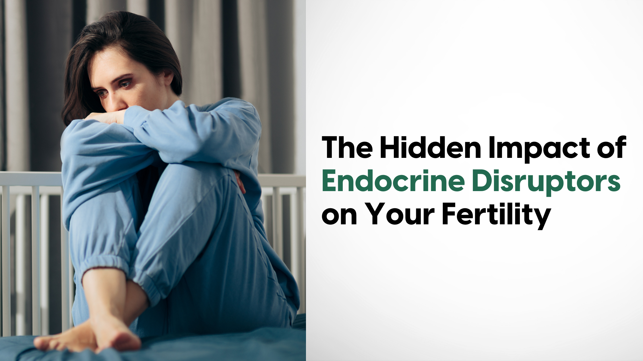 The Hidden Impact of Endocrine Disruptors on Your Fertility