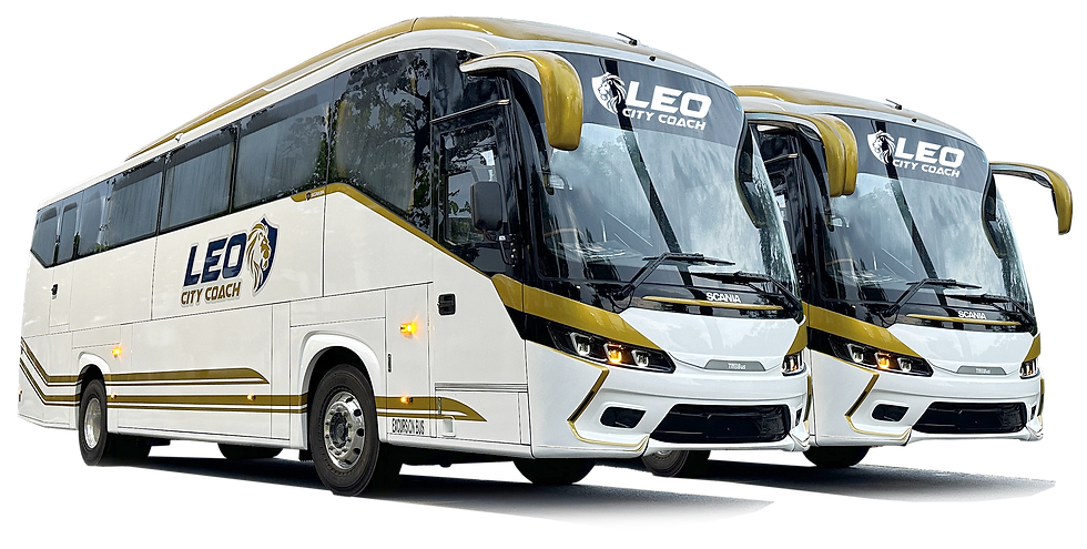 Services – Leo City Coach