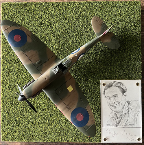 Geoff Wellum 92 Sqn Tribute 1:48 MK1 Spitfire Display & Original ...