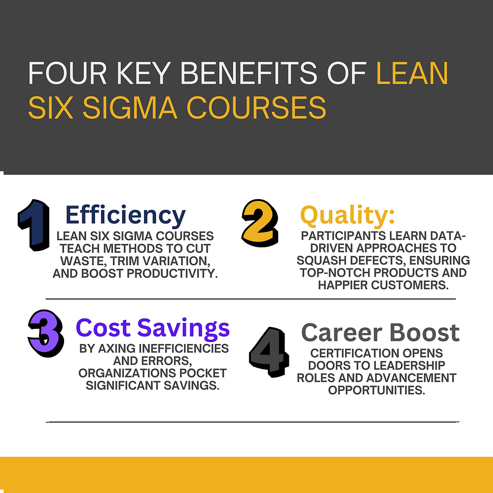 Gaining Proficiency: An Overview of Lean Six Sigma Programs