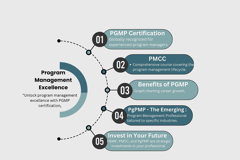A Guide to PGMP and Program Management Professional Certification ...