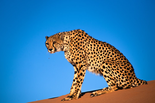 Releasing the Heat | Capturing Photo