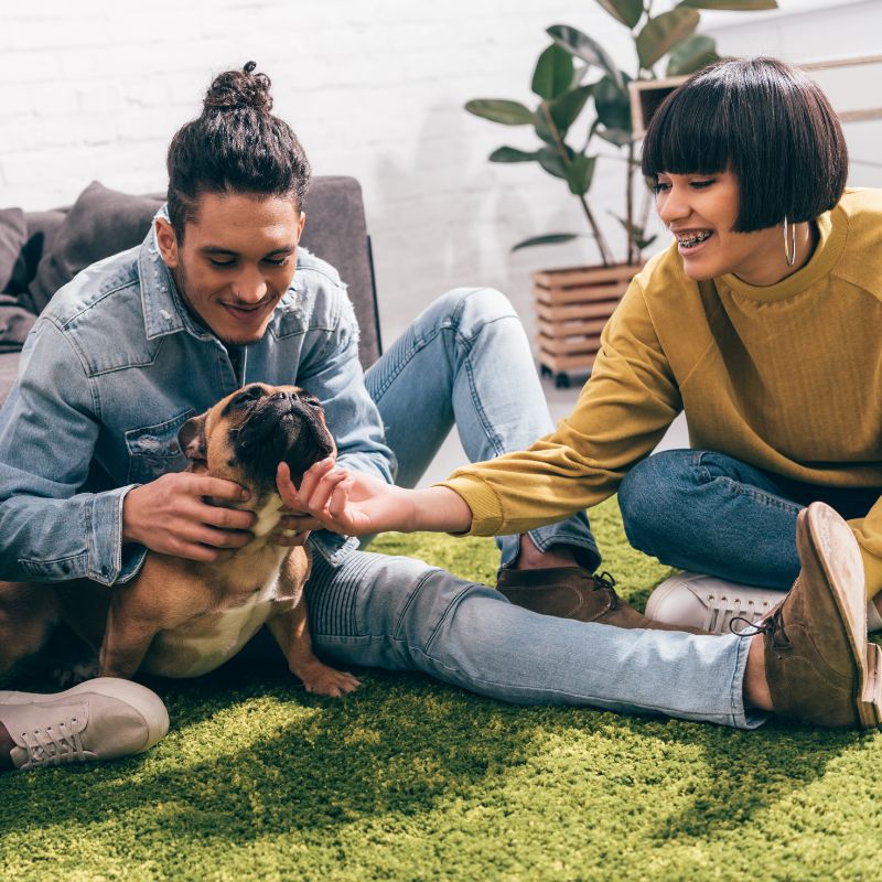 Benefits Of Dog Toys For Your Pet benefits-of-dog-toys-for-your-pet