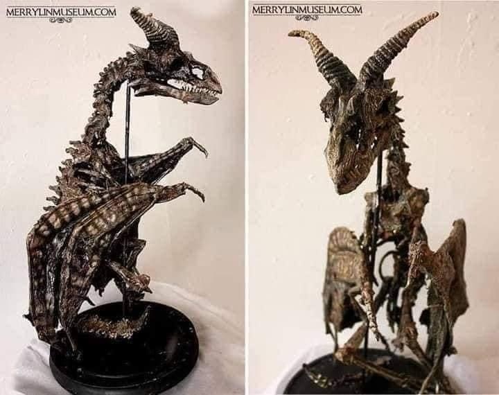 Merrylin Cryptid collection