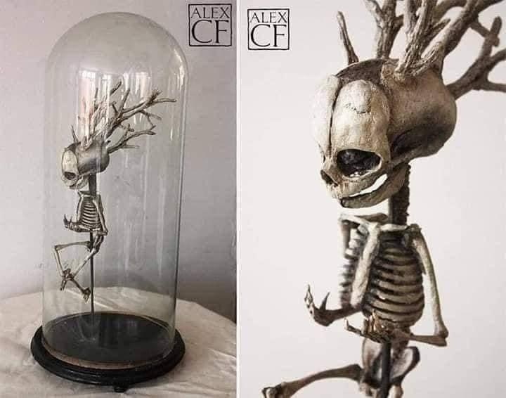 Merrylin Cryptid collection