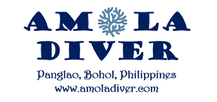 Home | Amola Diver | PADI 5 Star IDC Centre | Bohol, Philippines