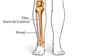 Décodage du péroné (fibula) (pistes)