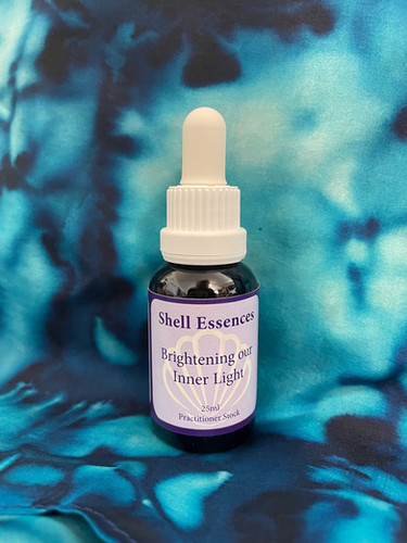 Brightening Our Inner Light | Shell Essences