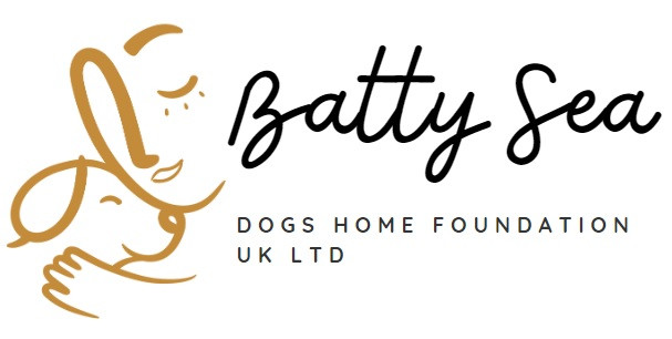 Updates | Batty Sea Dogs Home
