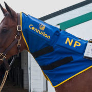 Neck Piece | The Posh Pony Equest