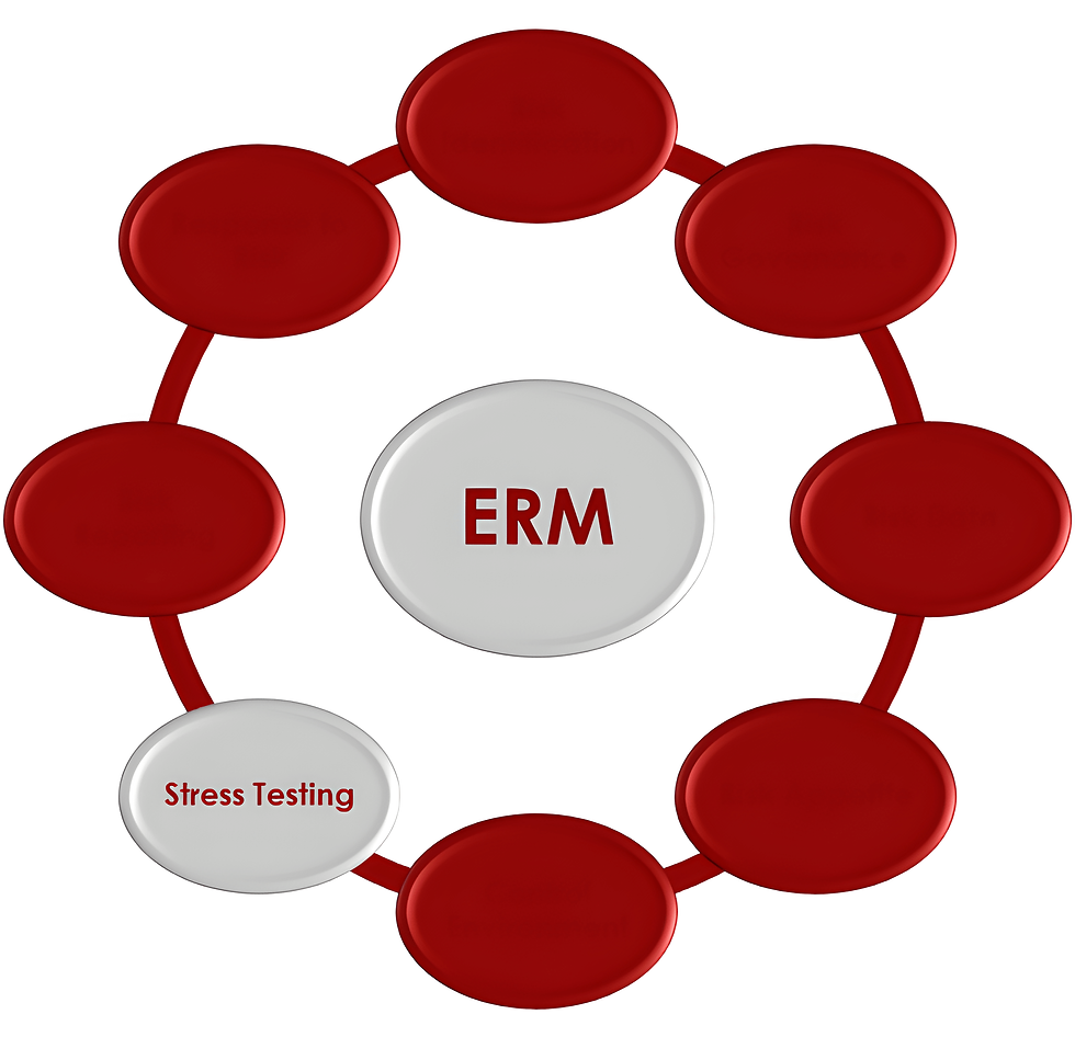 Mastering the Fundamentals: Key Elements of Successful Risk Stress Testing