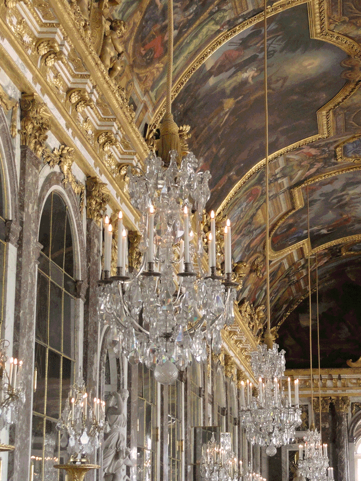 Info | Shannon Yurick