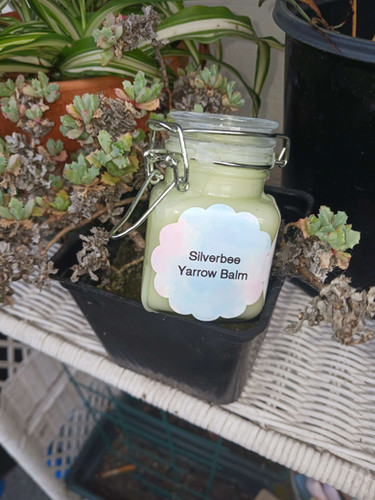 Silverbee Yarrow Balm | 4 Leaf Peace Herbals | Wound Healing Balm