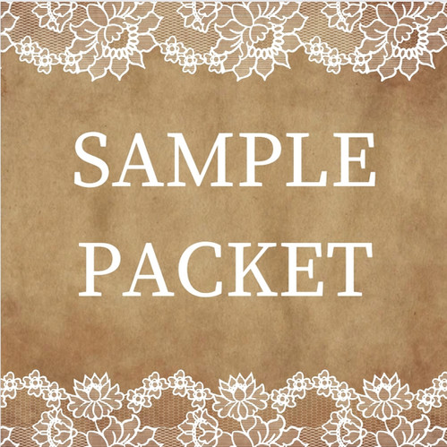 Sample Packet - High School English | S. Timothy