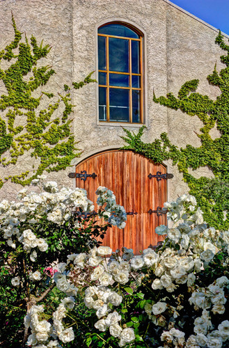 SPRINGFIELD ESTATE | Robertson Tourism | Cape Winelands