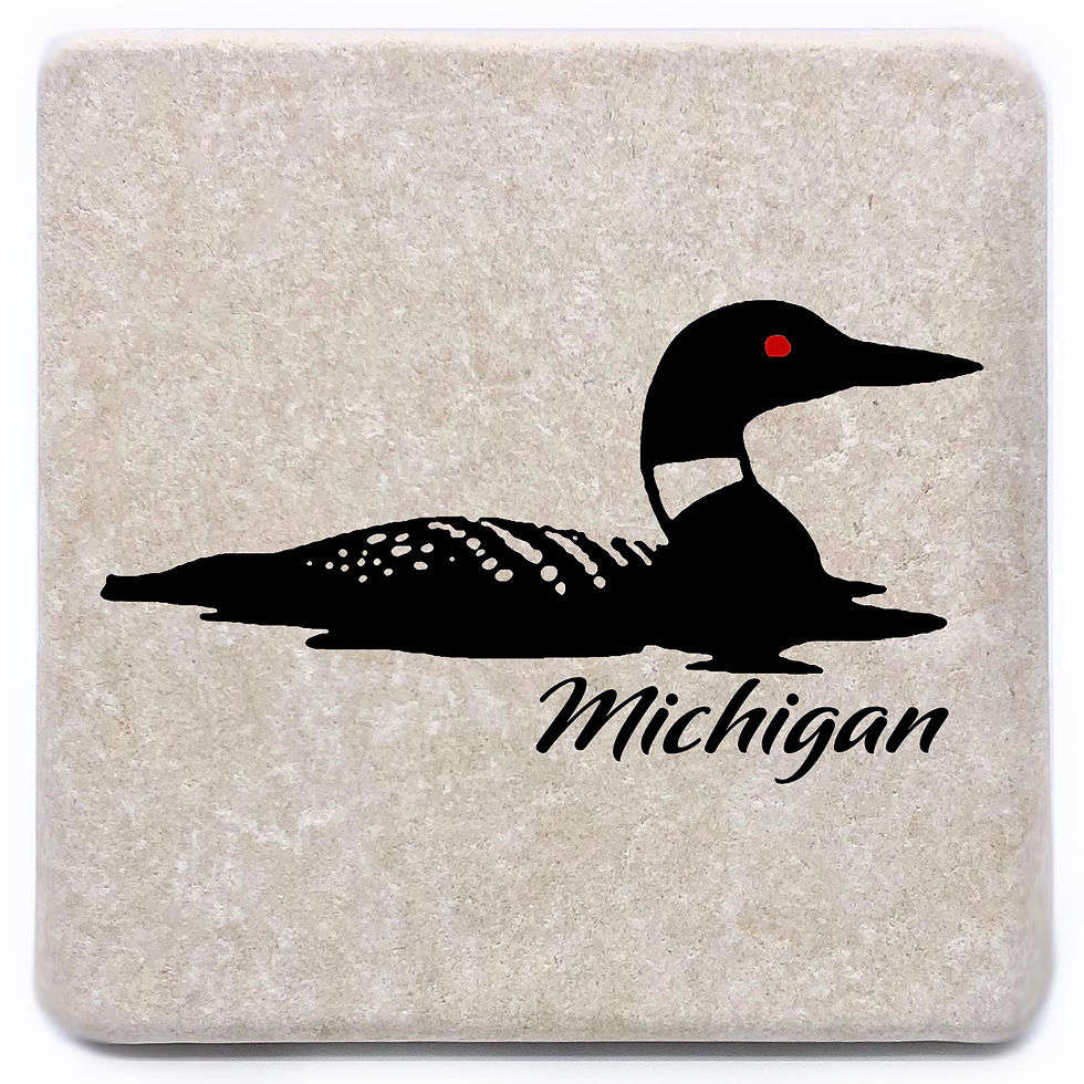 Michigan Loon Coaster | Noomoon