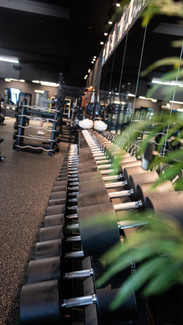 The Transform Gym | Best Gym in Denver | 5181 W 64th Ave, Arvada, CO 80003