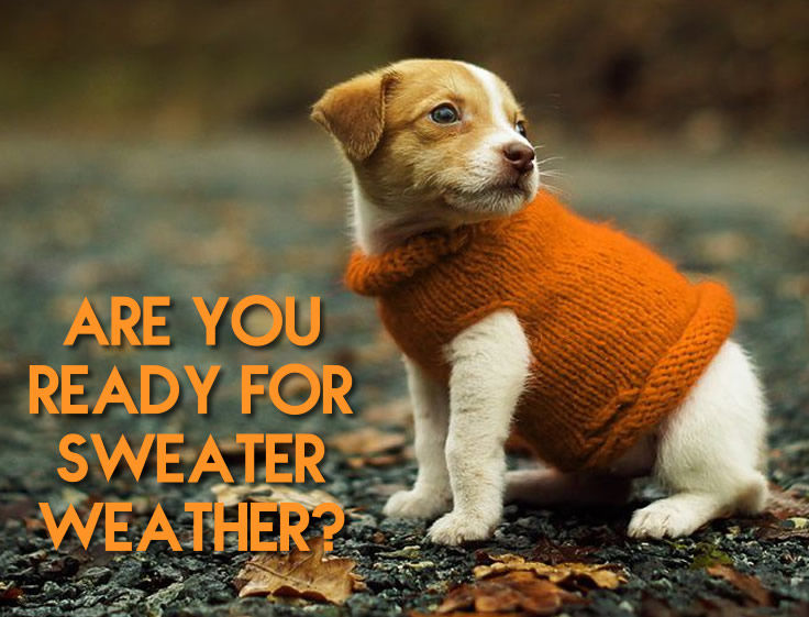 WHY COOLER WEATHER CAN ACTUALLY MAKE THE SUN MORE DANGEROUS.