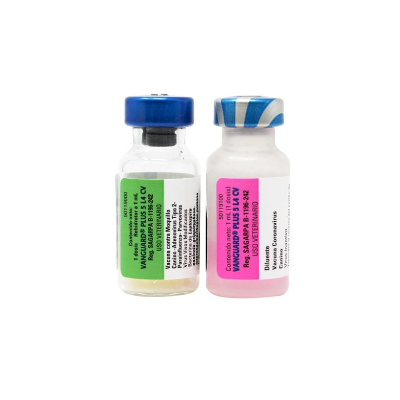 Séxtuple Canina Vanguard Vacuna Pfizer Zoetis | Agrostar