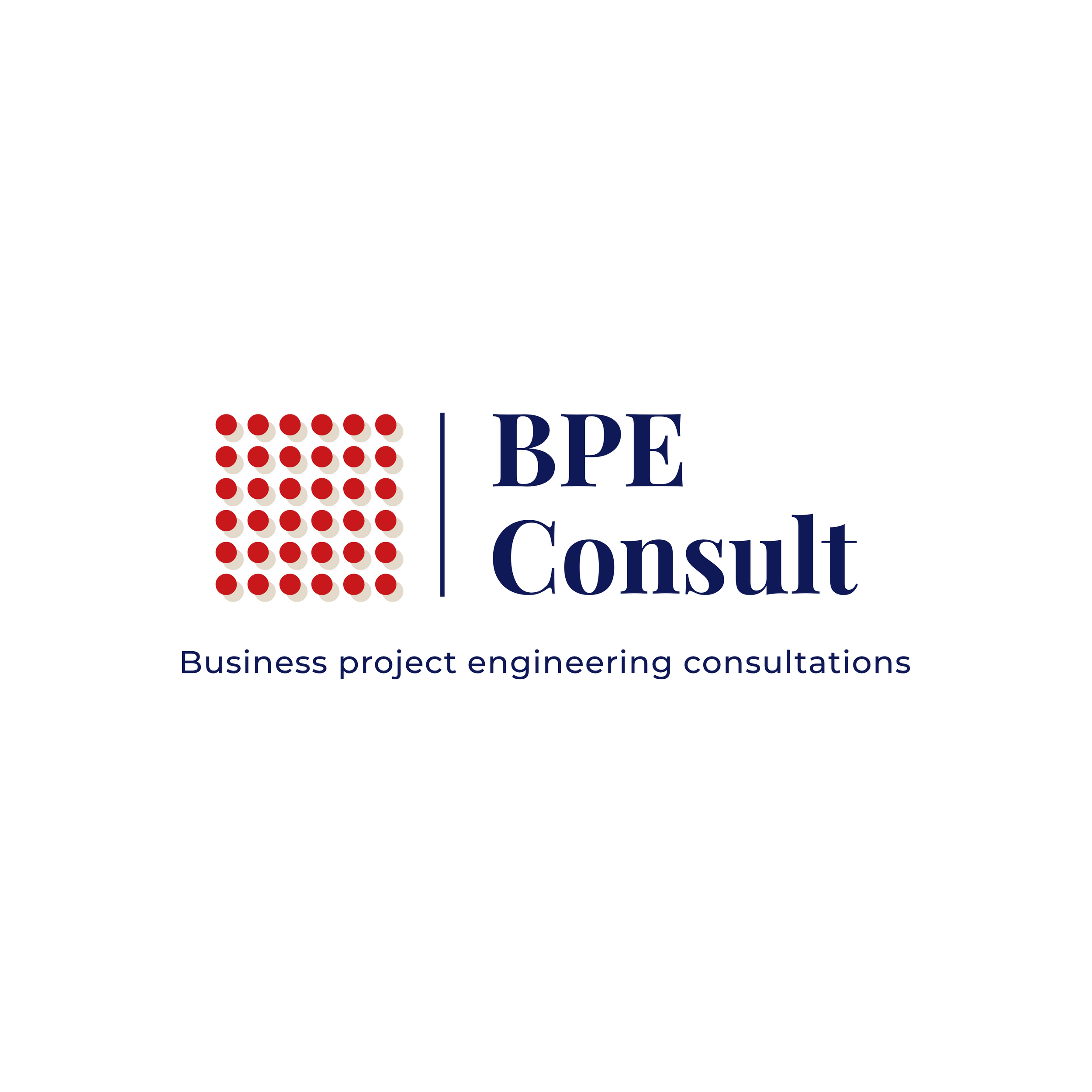 BPE Consult | IT Project Solutions