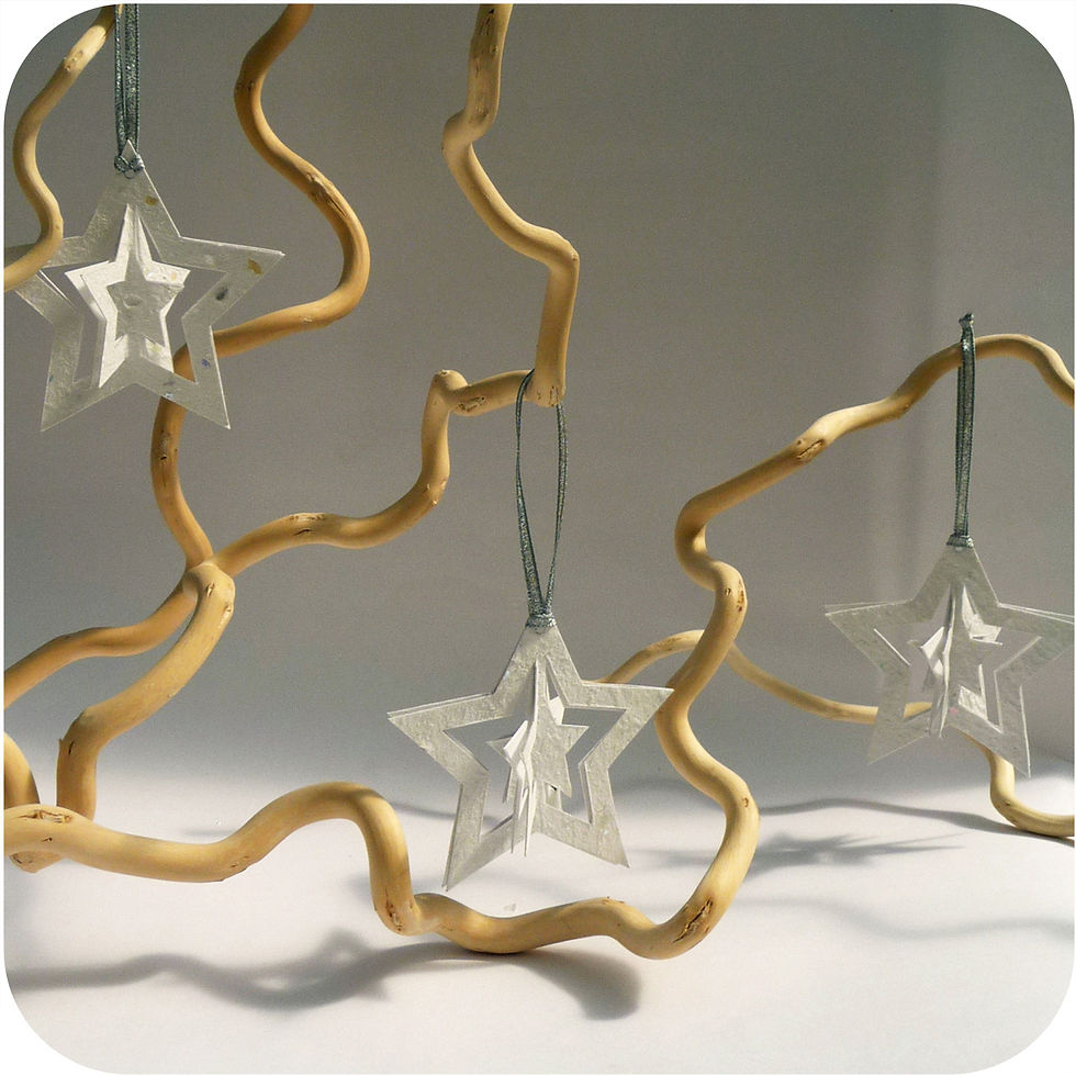 Plantable Pop Up Star Christmas Decoration | Plant a Bloomer