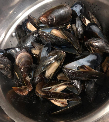 Canadian Frozen Whole Mussels ( Fully Cooked ) | Rubyaan