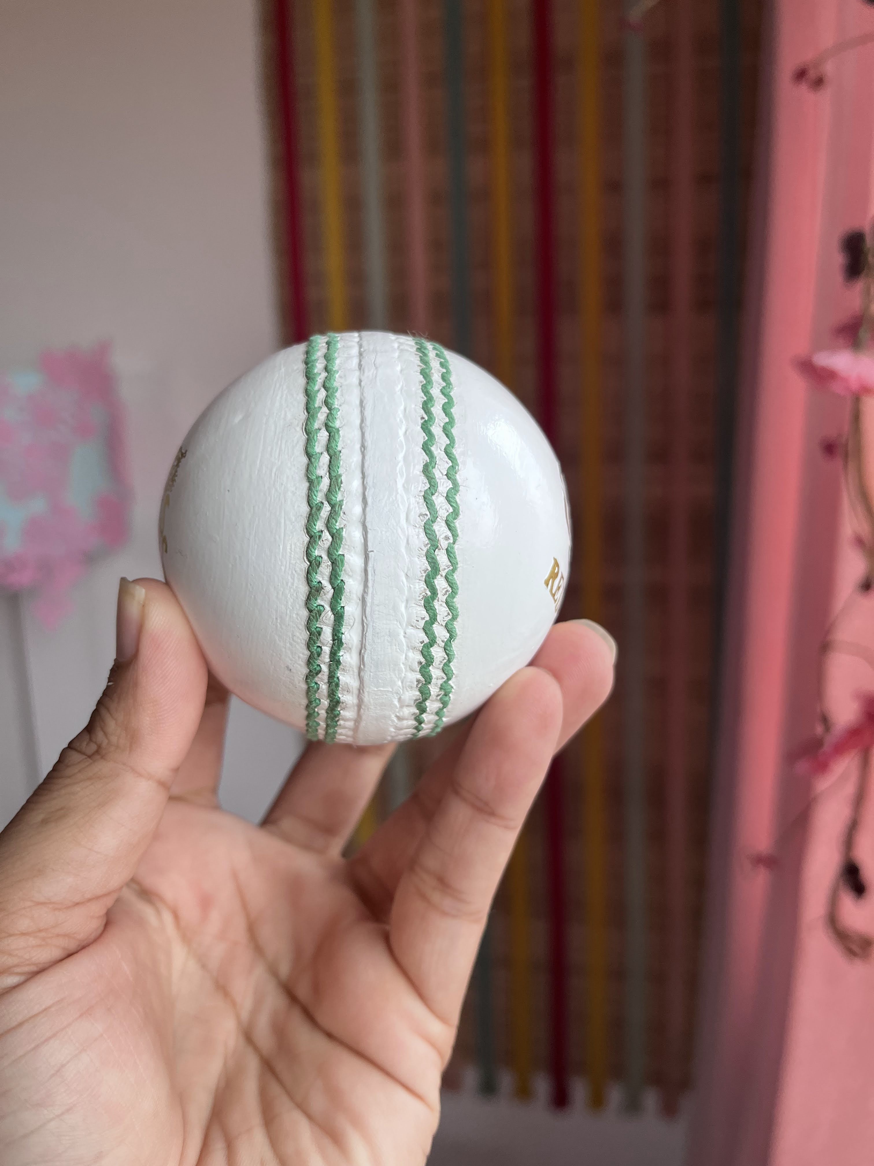 Top 10 Must-Have Cricket Gear for German Cricket Enthusiasts: A ...