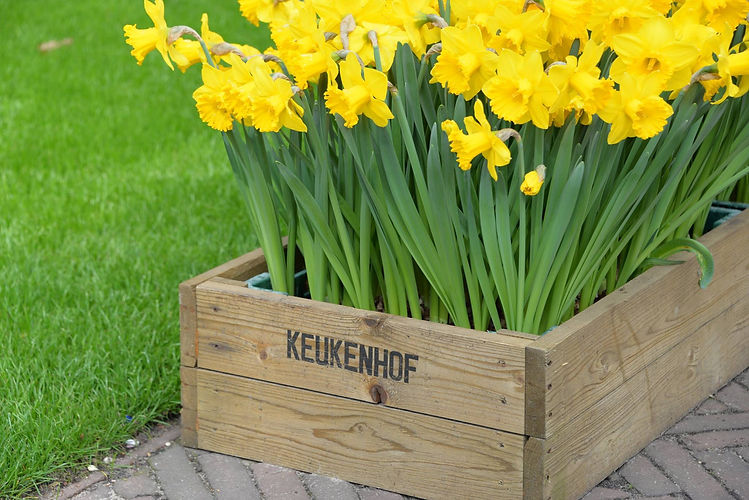 Home | Fiore Floral & Gifts