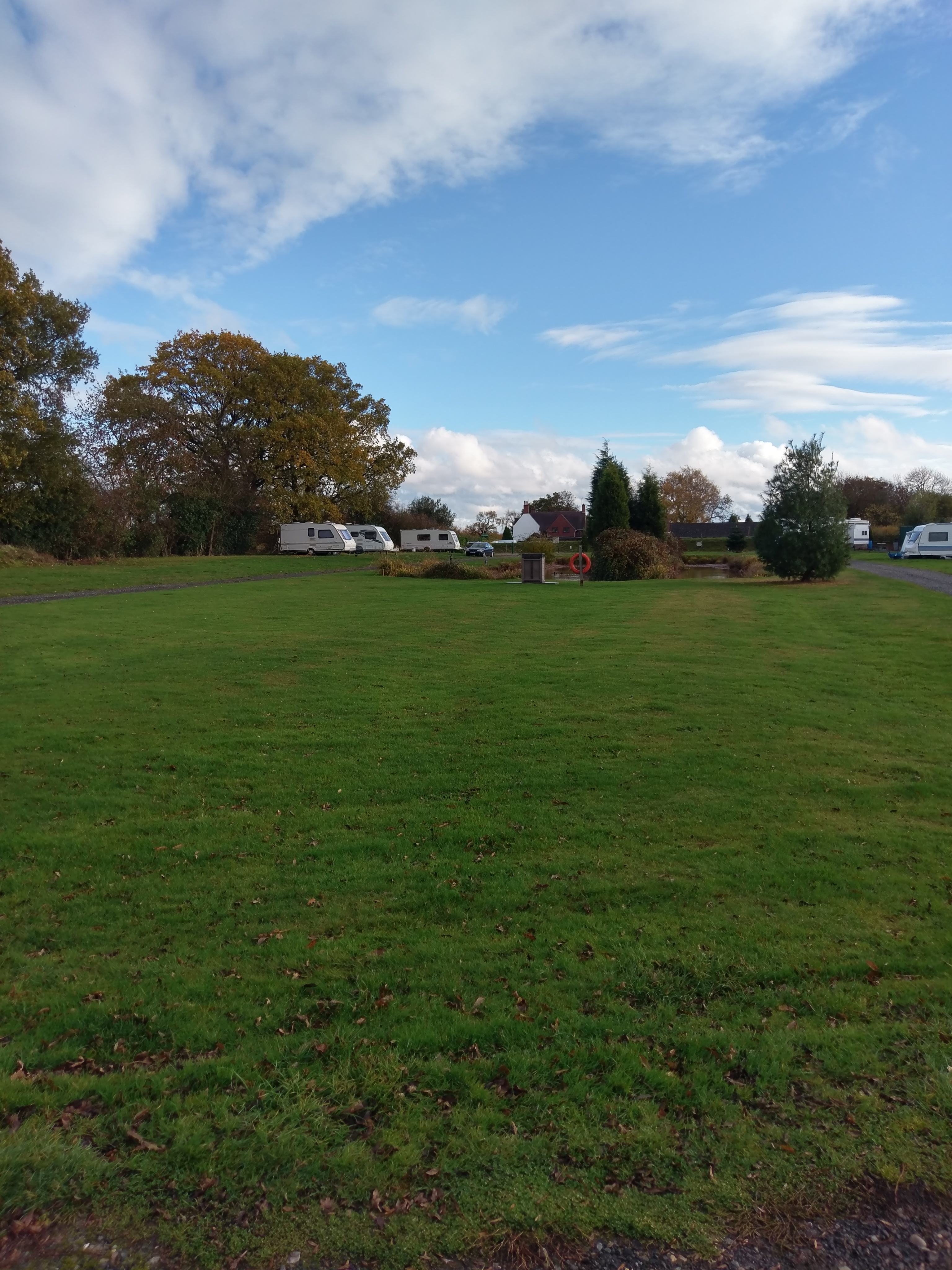 Gallery | New Forest View