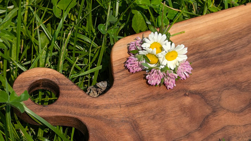 Home & Kitchen | Hammer And Canvas