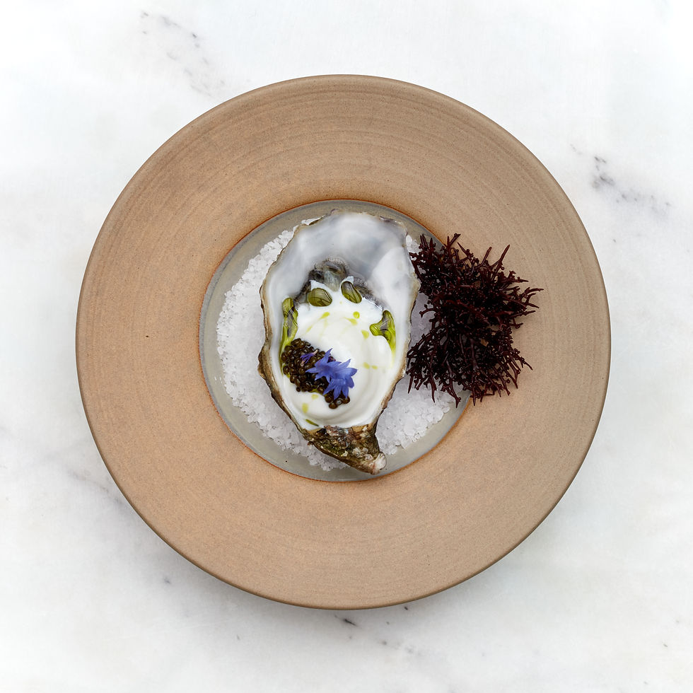 Home | Roux Amsterdam