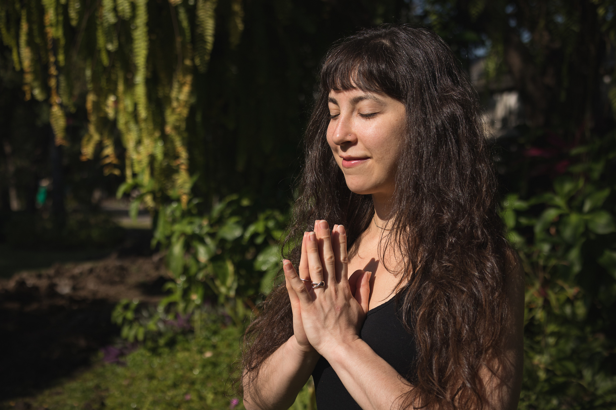 Book Now | Alison Kate