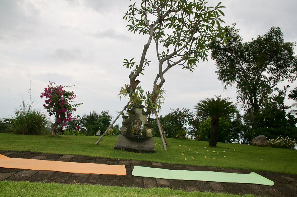 Auf die Matte, fertig, los!